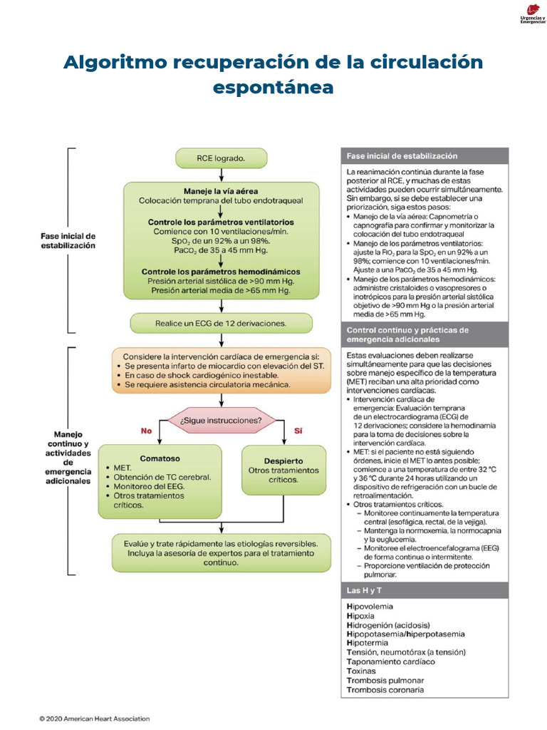 Algoritmos RCE Adulto AHA 2020 | PDF