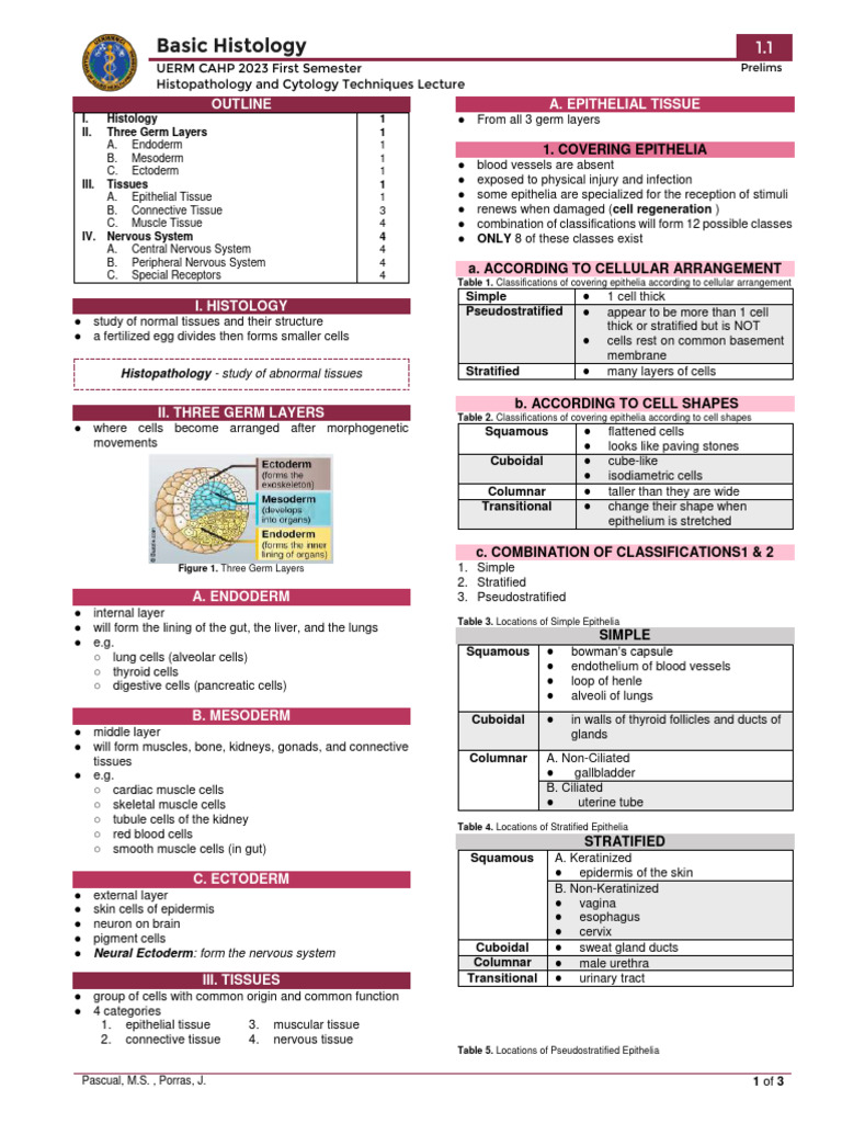 Basic Histology: Outline A. Epithelial Tissue | PDF