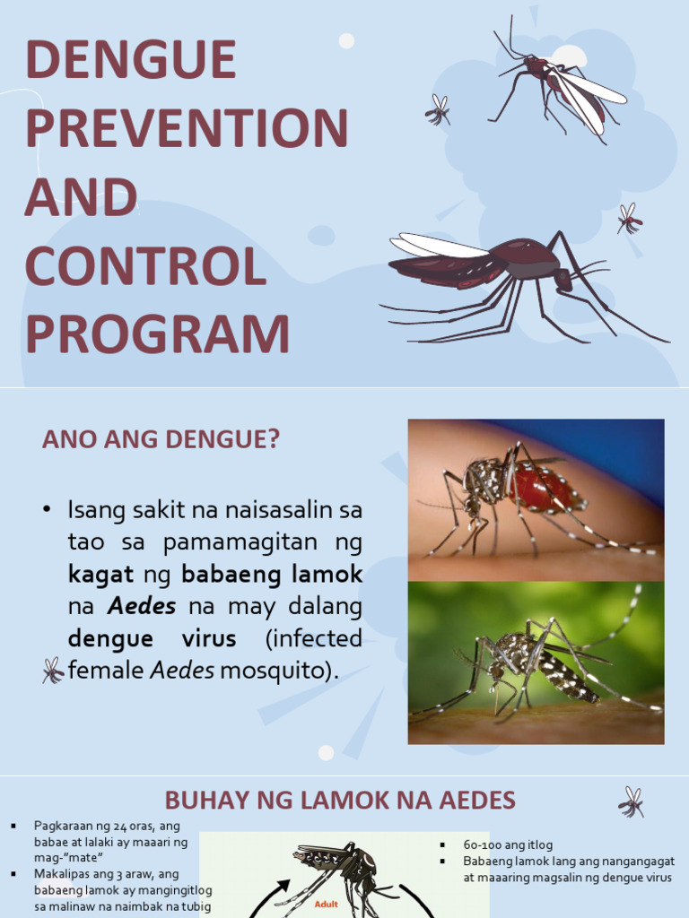Dengue Prevention AND Control Program | PDF
