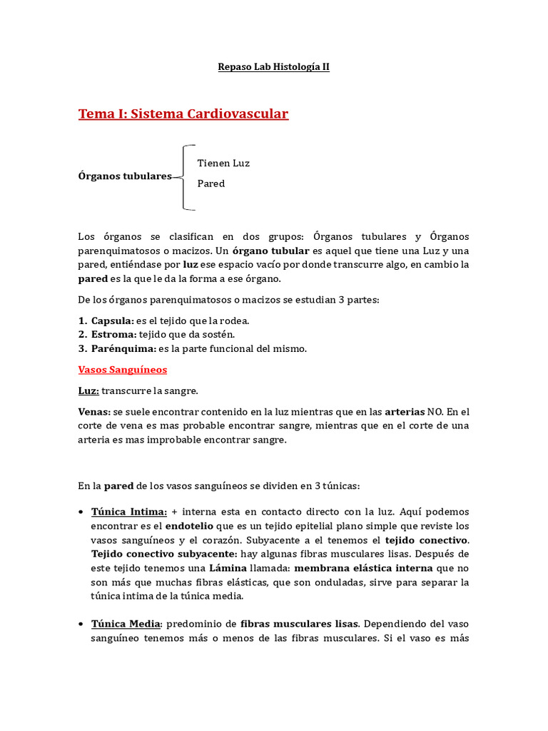 Repaso Completo Lab Histo II | PDF