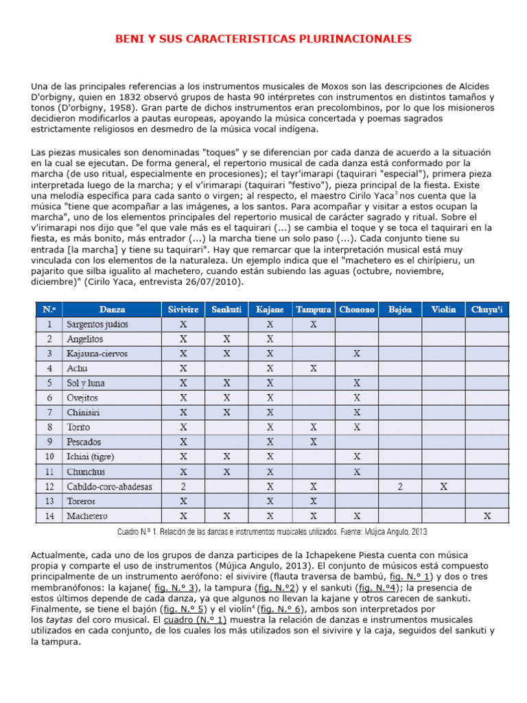 Beni y Sus Caracteristicas Plurinacionales | PDF | Violín