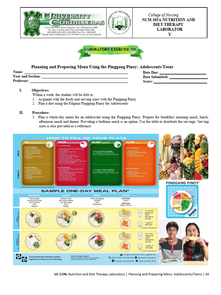 Planning and Preparing Menu Using The Pinggang Pinoy: Adolescents/Teens ...