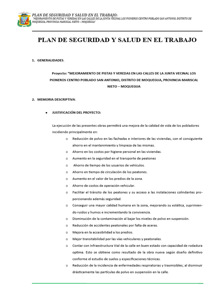 Plan de Seguridad | PDF