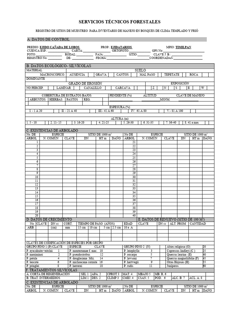 formato-500-m2-pdf
