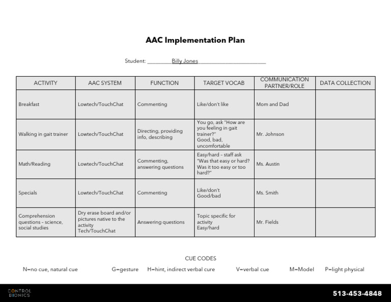 AAC Implementation Plan Template Example 2 | PDF