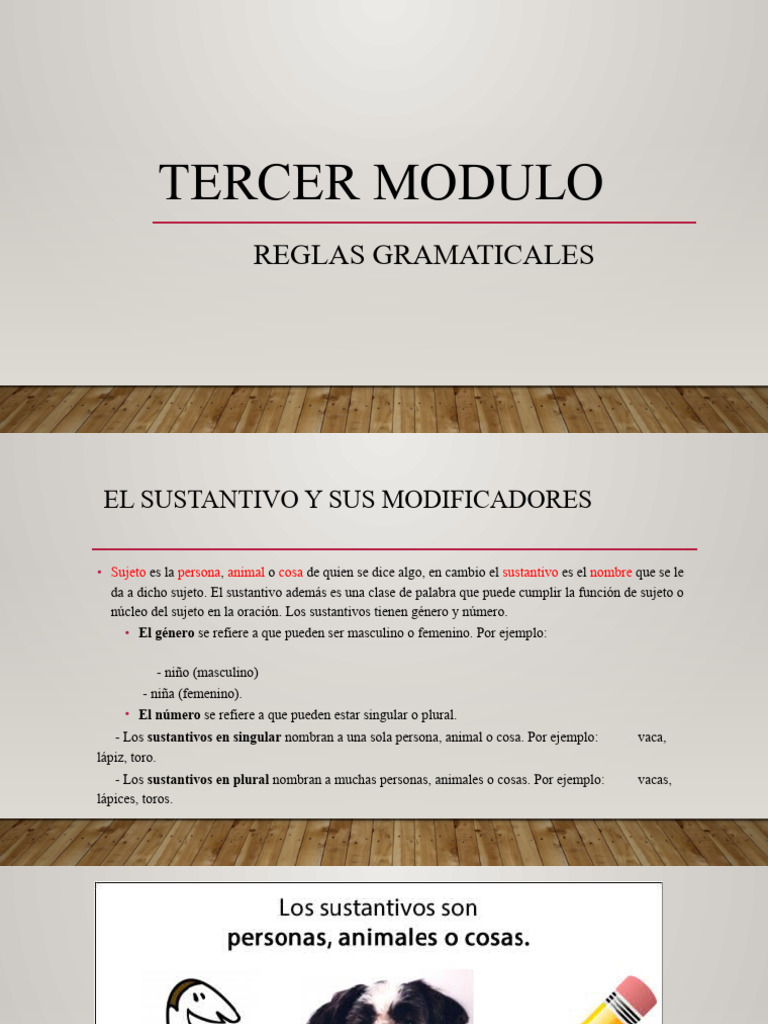 Modulo Iii 2021 | PDF