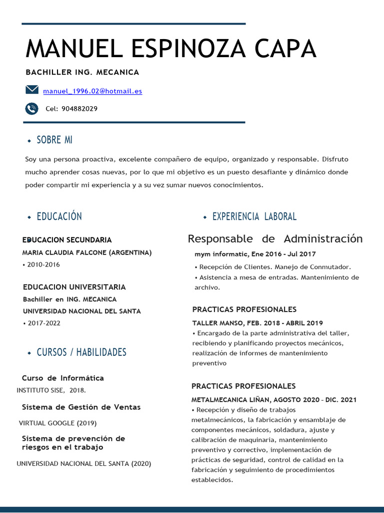 Curriculum MANUEL | PDF