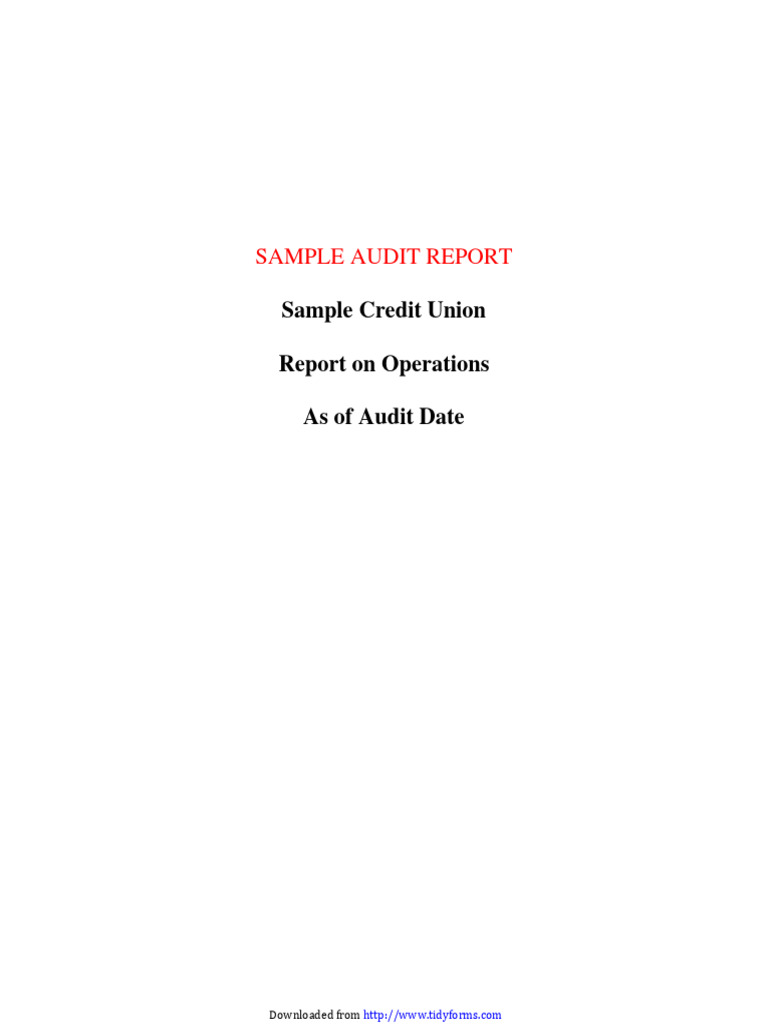 Audit Report Sample | PDF