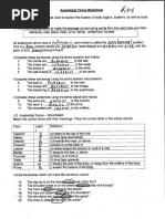 Directional Terms Worksheet | PDF | Anatomical Terms Of Location | Elbow
