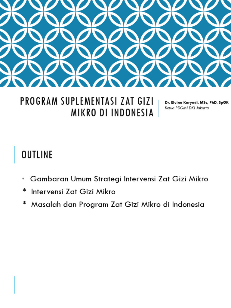 Materi DR Elvina K. MSC, PHD, SP - GK - Intervensi Zat Gizi Mikro | PDF