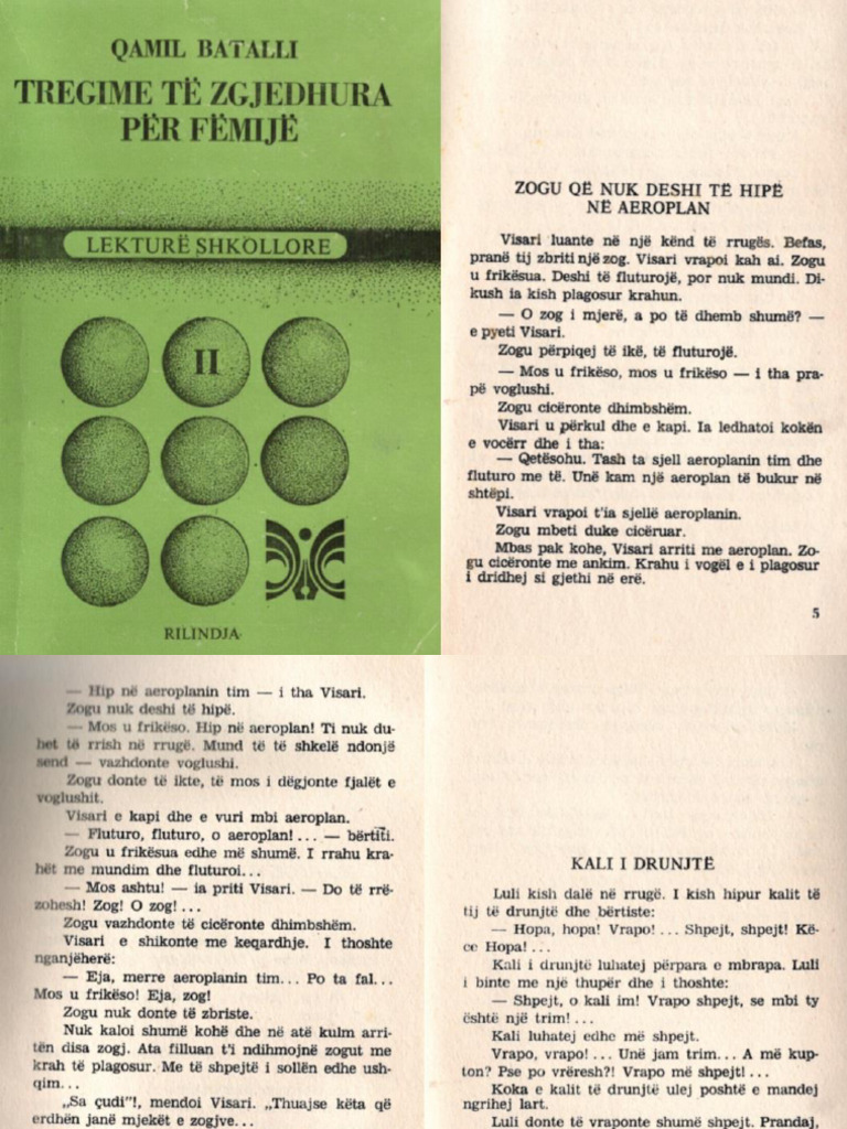 Qamil Batalli, Tregime Te Zgjedhura | PDF