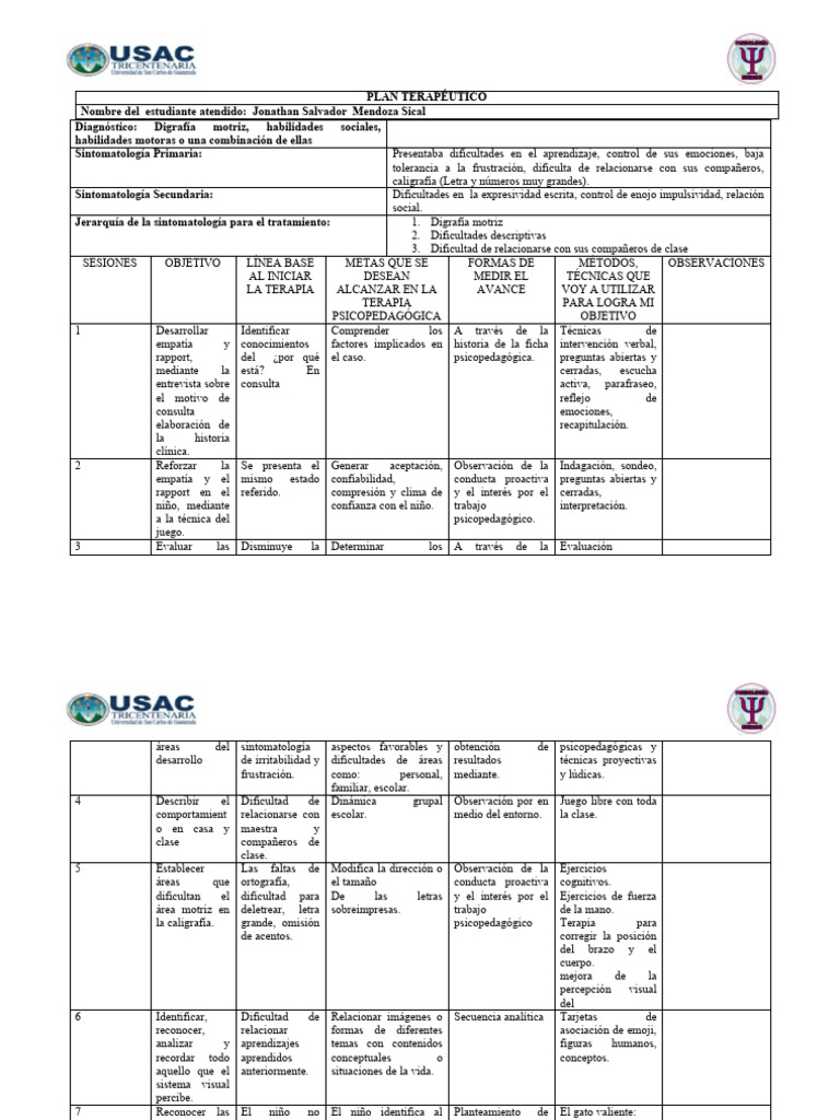 Plan Terapéutico | PDF