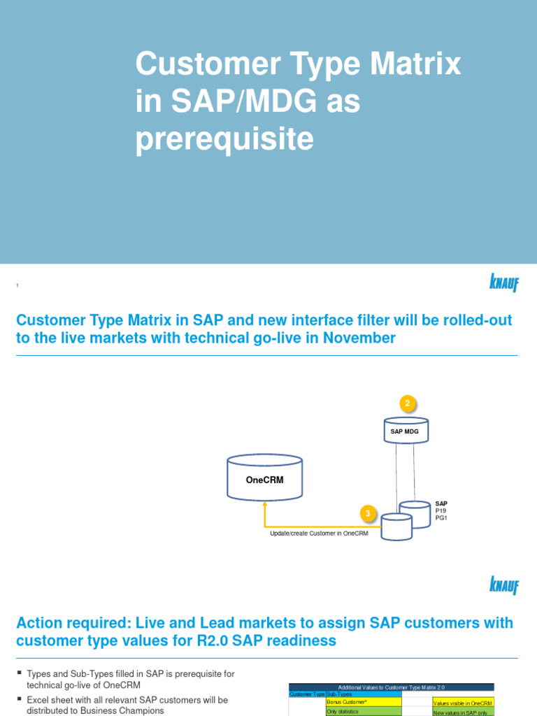 Customer Type Matrix for SAP/MDG Integration | PDF