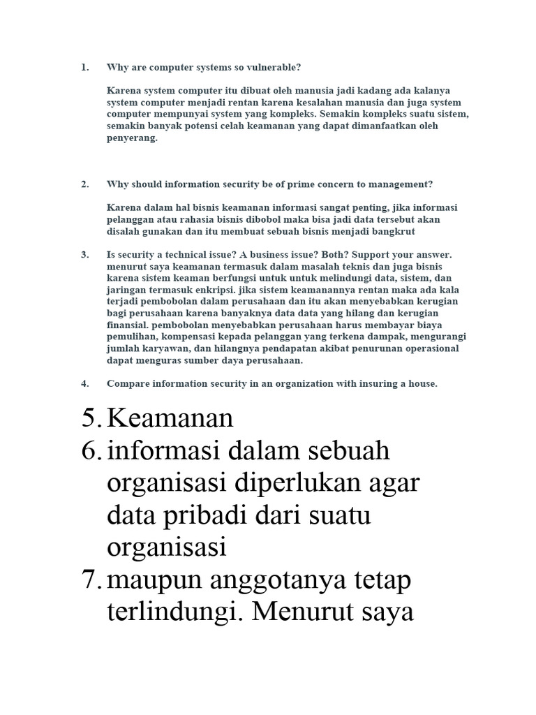 Why Are Computer Systems So Vulnerable | PDF