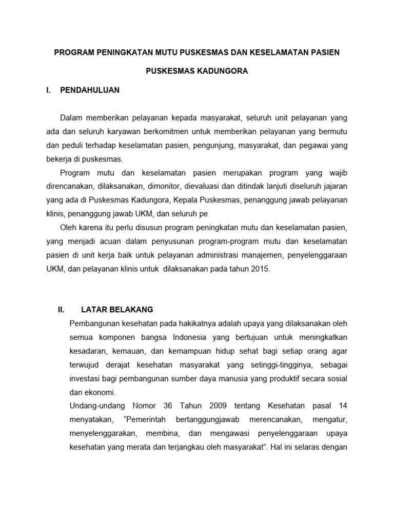 Contoh Program Peningkatan Mutu Puskesma | PDF