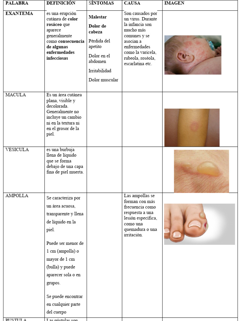 Act1 Piel y Anexos | PDF