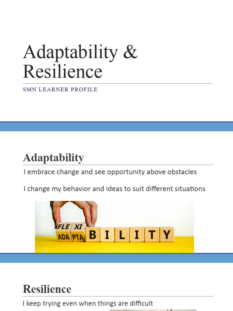 Adaptability & Resilience 3 | PDF