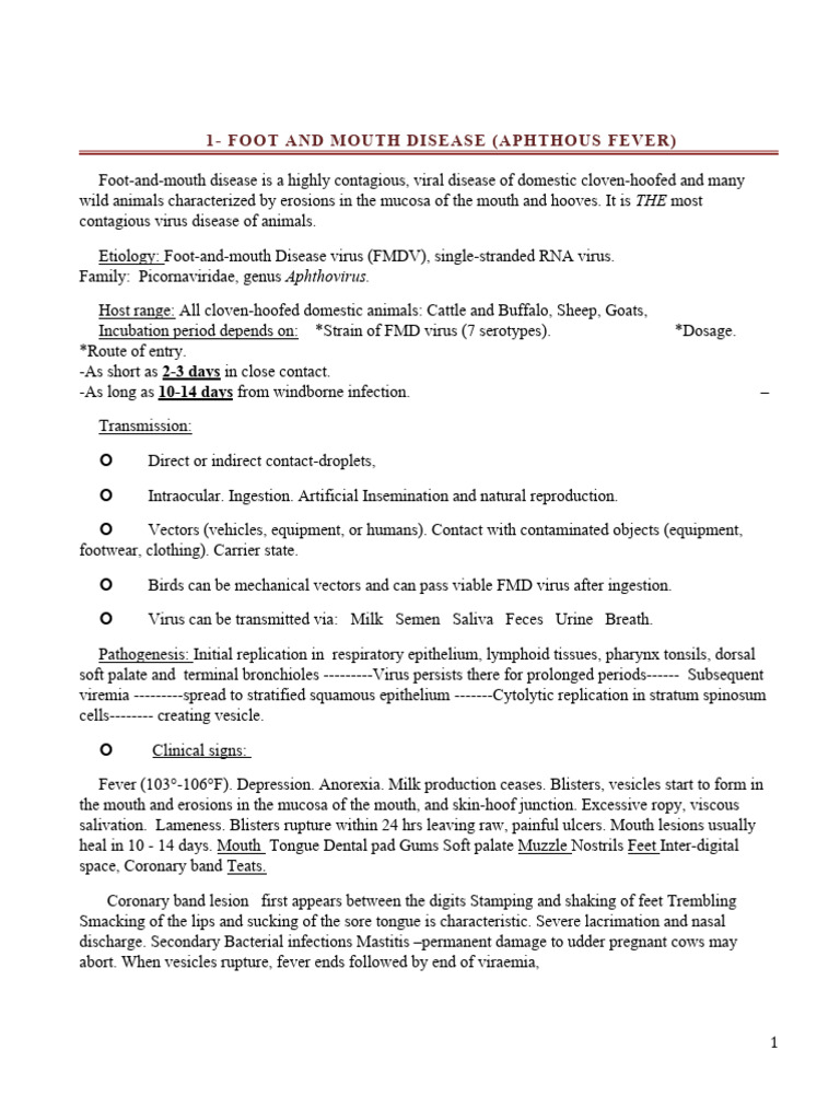 Foot and Mouth Diseases | PDF