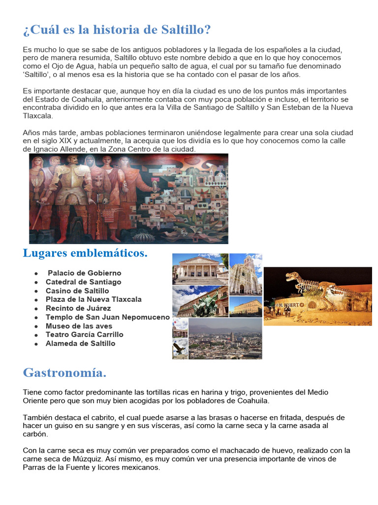 Cuál Es La Historia de Saltillo | PDF