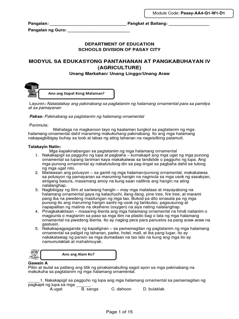 8 Pasay Grade 4 EPP Q1 W1 | PDF