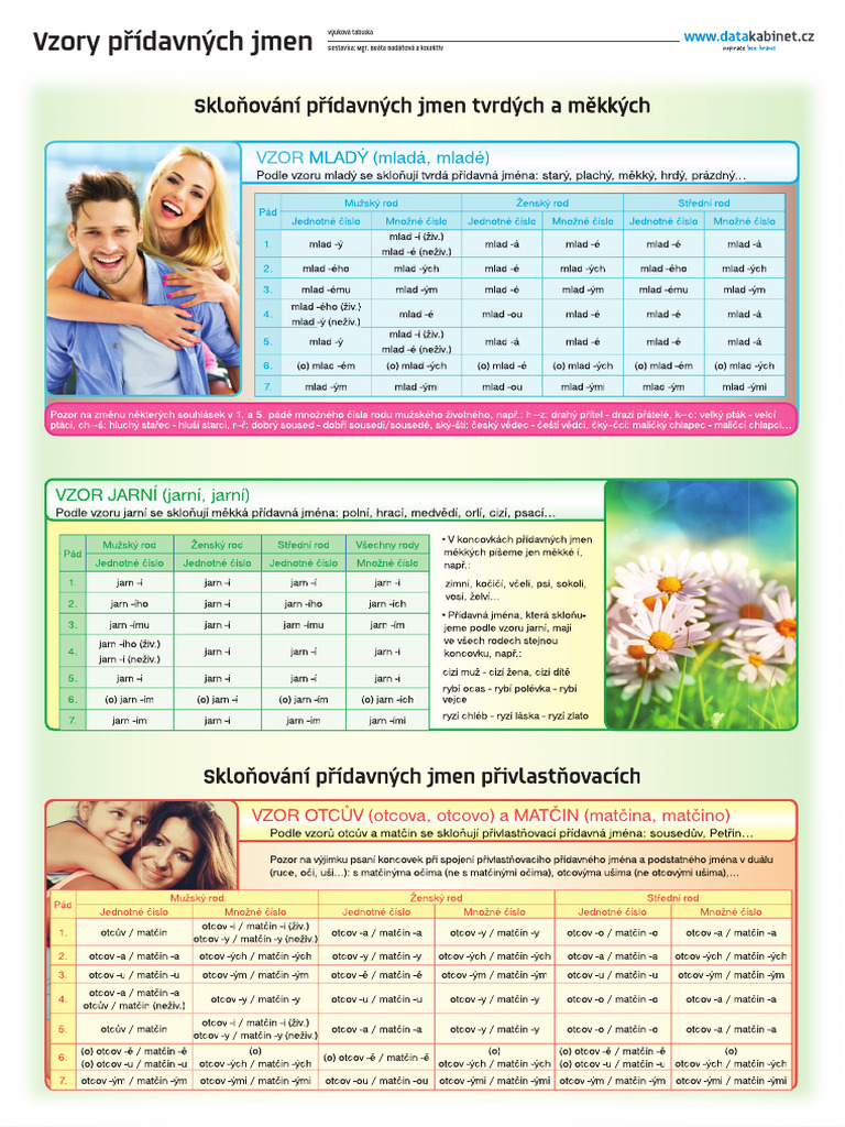 Tabulka ČJ Vzory Přídavných Jmen | PDF
