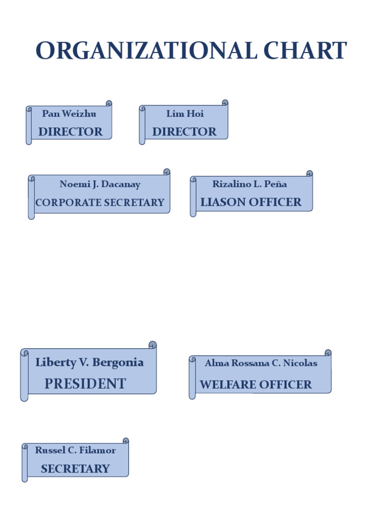 Organizational Chart | PDF