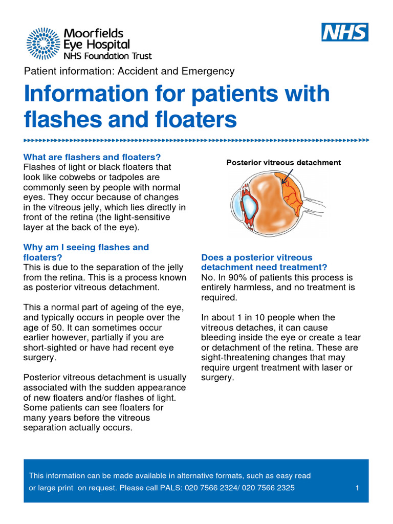 Understanding Eye Flashes and Floaters | PDF