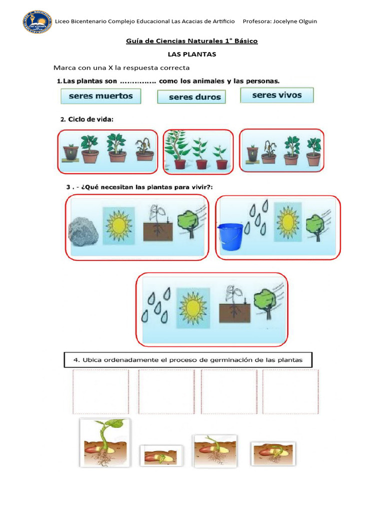Guía Necesidades de Las Plantas | PDF