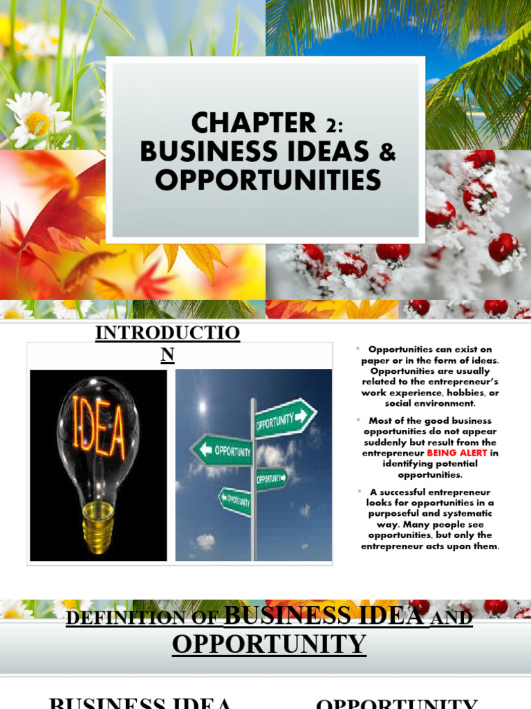 Chapter 2 Business Ideas and Opportunity | PDF