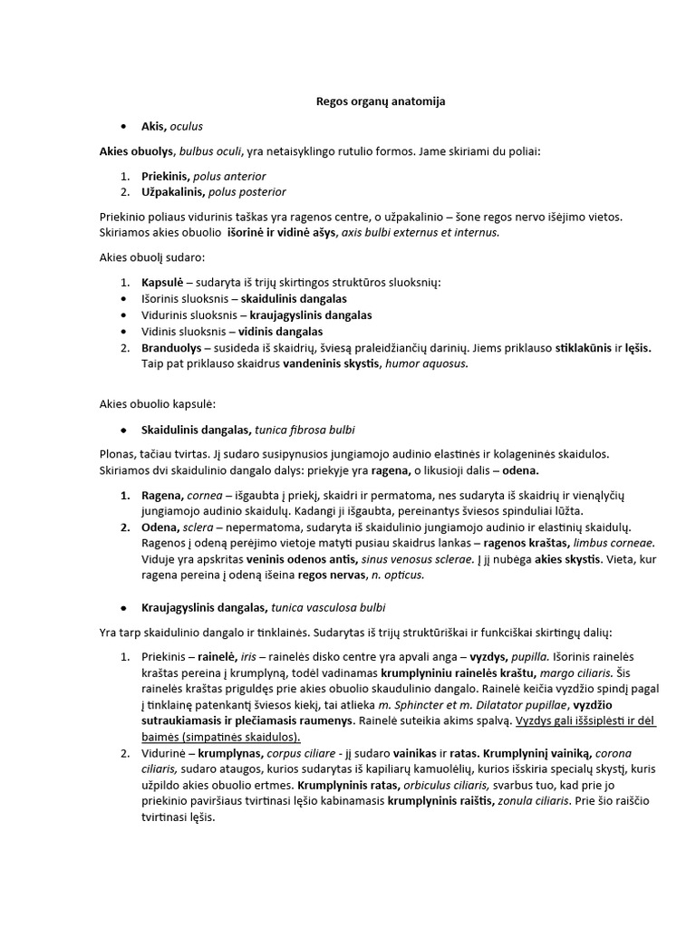 Regos Organų Anatomija 1 | PDF