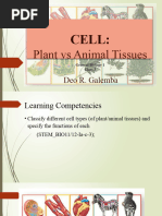 Animal Tissue Grade 10 Term 3 Notes Summaries | PDF