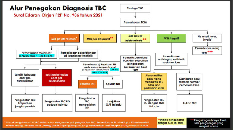 Alur Penegakan Diagnosis TBC | PDF