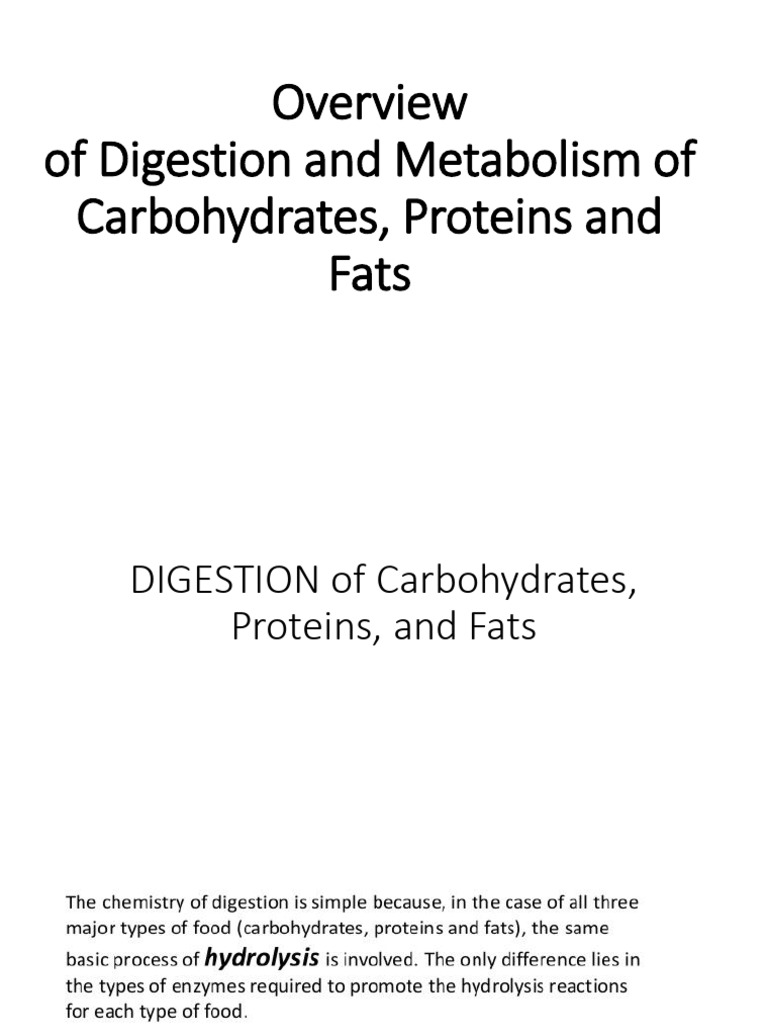 Digestion and Metabolism | PDF
