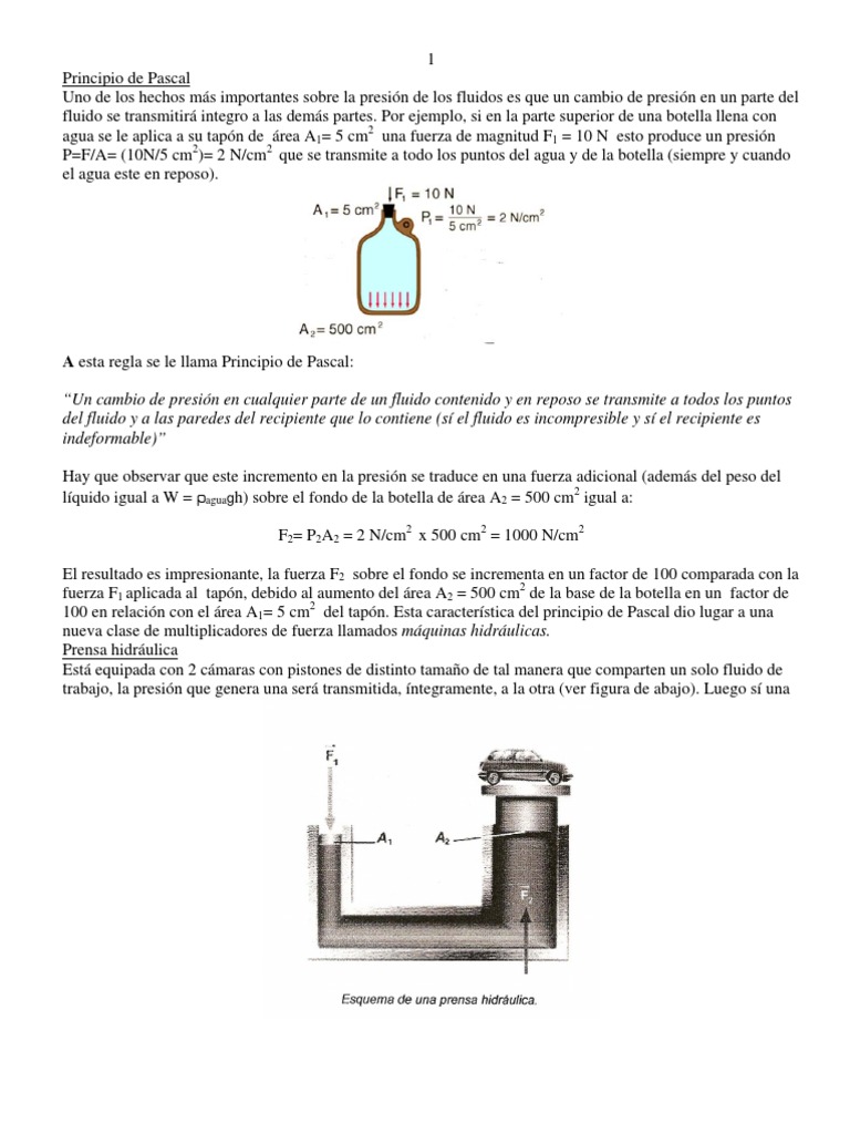 Experimentos del Principio de Pascal | PDF | Presión | Líquidos