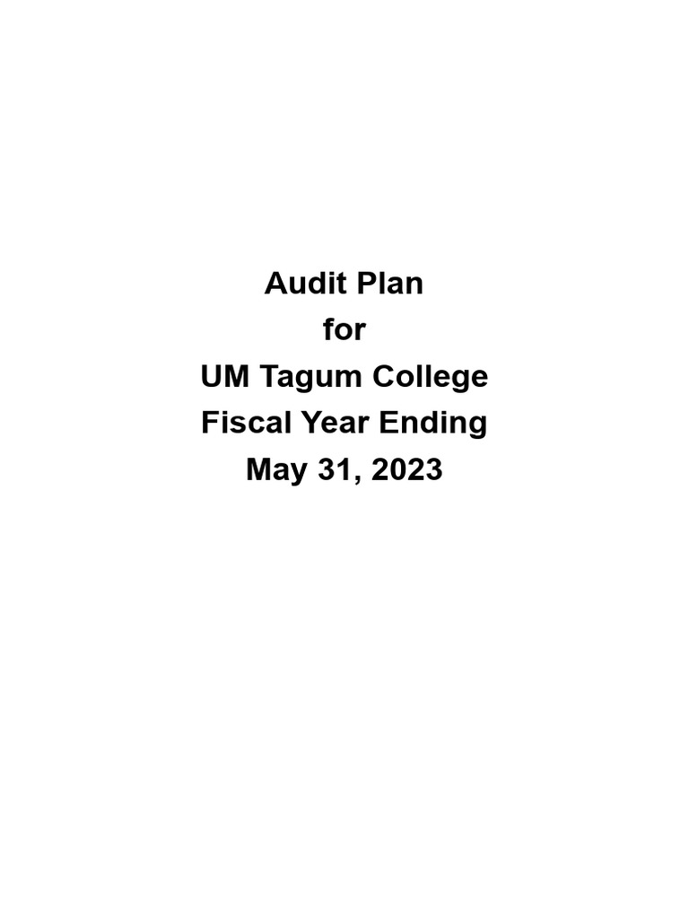 Audit Plan | PDF