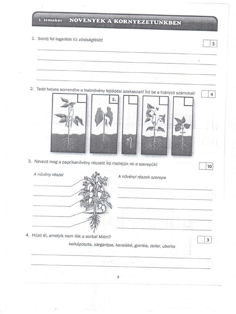 Környezet-4 Oszt | PDF