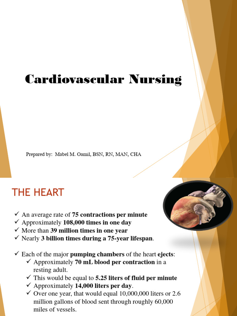 Cardio Notes | PDF