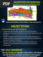 Amoeba Sisters Video Recap | PDF | Cell Membrane | Cell (Biology)