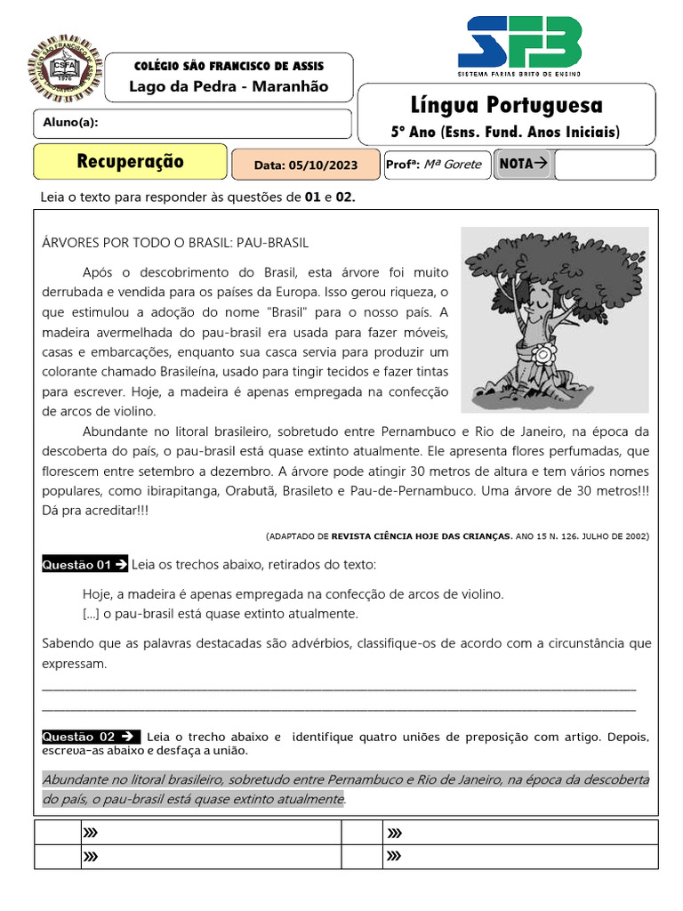 Rec PRT 5º Ano | PDF