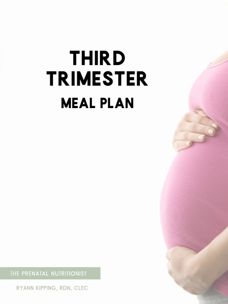Third Trimester Meal Plan Guide | PDF | Salad | Lunch