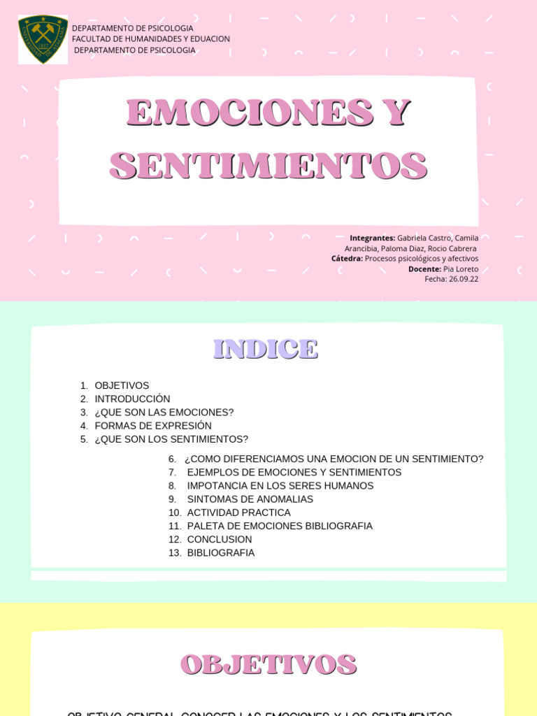 Trabajo Emociones y Sentimientos | PDF