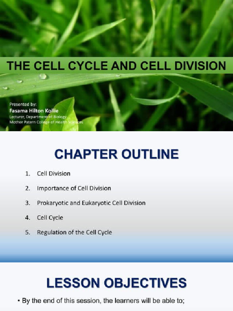 Cell Division | PDF