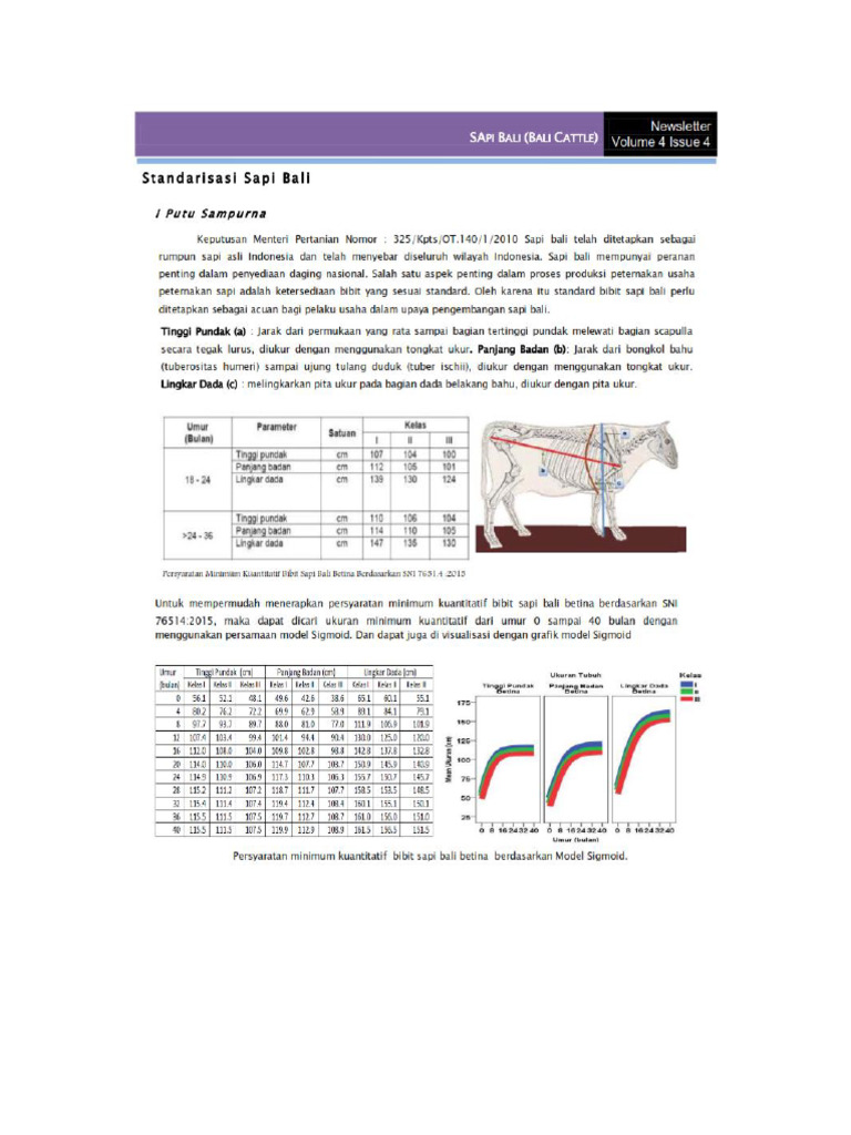 SNI Sapi Bali | PDF
