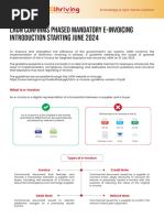 Irbm e Invoice Specific Guideline Version 11 | PDF | Invoice