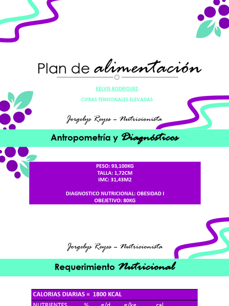 Plan Kelvis Rodriguez | PDF