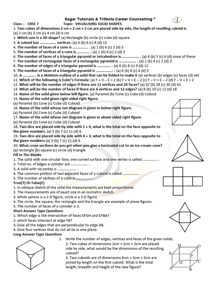 Cbse 7 Visualising Solid Shapes | PDF