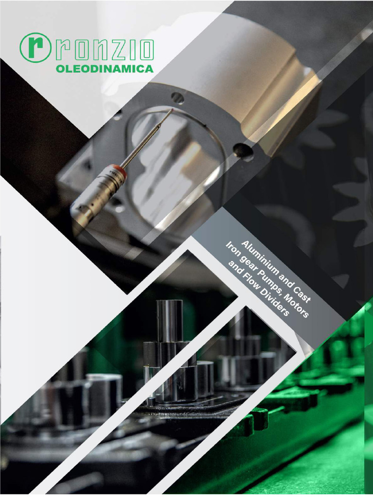 Brochure Ronzio 2019 | PDF