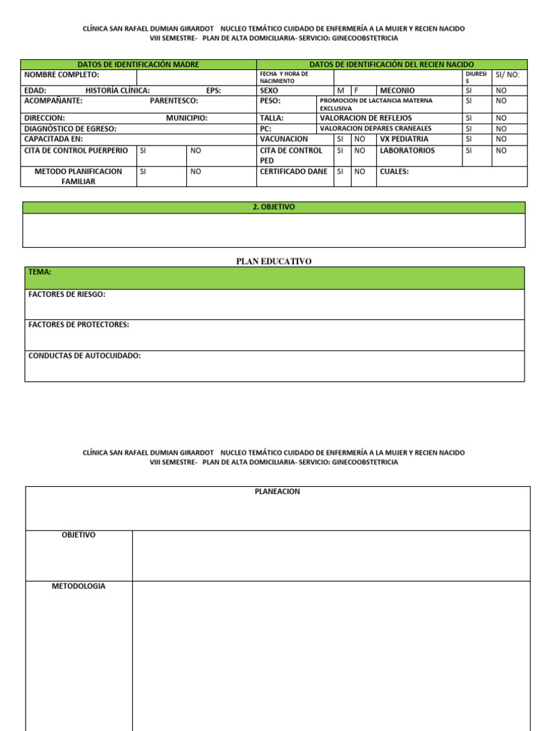 Plan de Alta | PDF