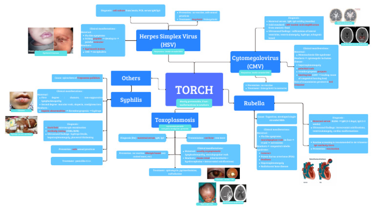 TORCH | PDF