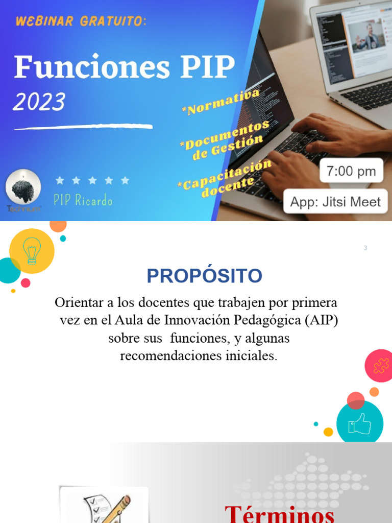 Funciones del PIP en el AIP 2023 | PDF